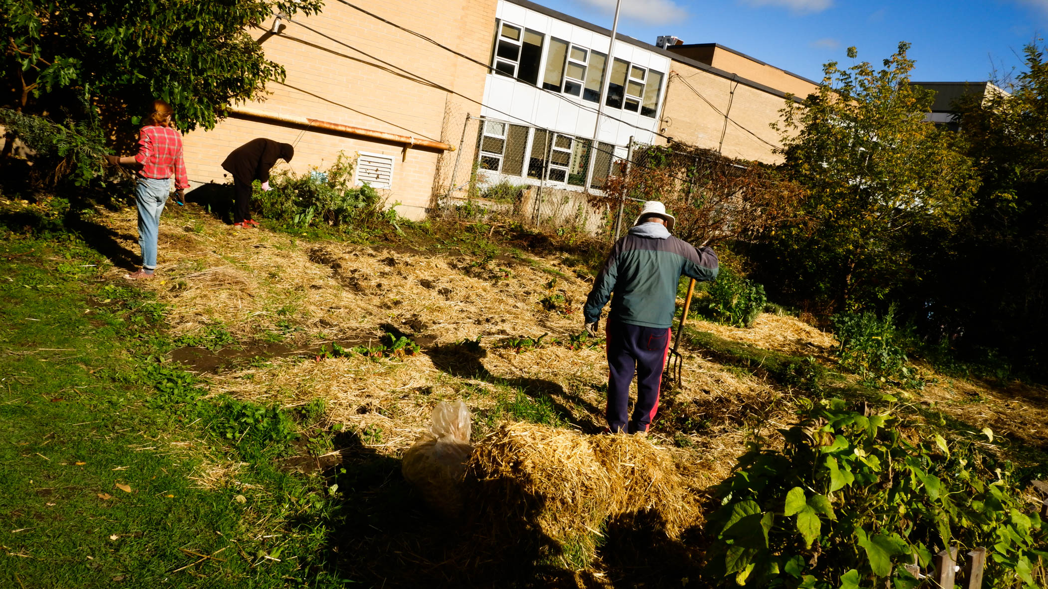 The Building Roots Urban Farm - Building Roots